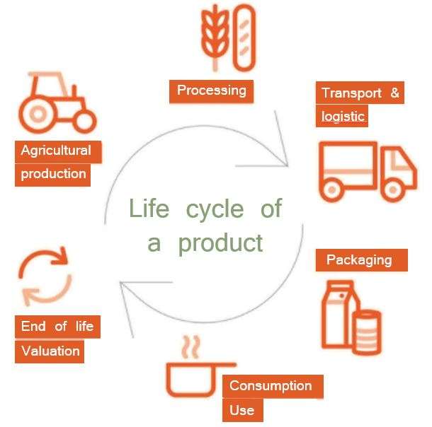 Environmental impact of our food plate - SAYARI